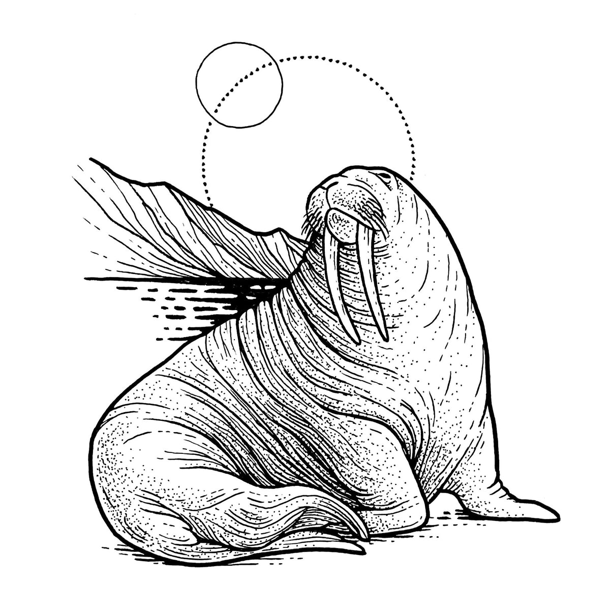 Walrus – Lizzy Dalton Tattoo